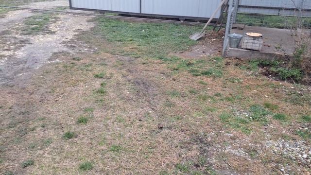 Уложил плитку в сарае. Засыпал двор щебнем.