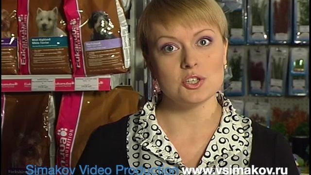 Учебный курс по технологиям продаж для компании "Зообум"