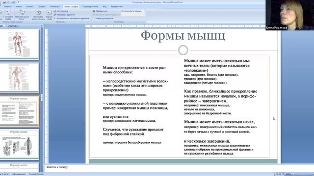 1.Вводное. Общая терминология анатомии.20241213
