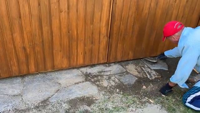 Что случилось с нашей собакой?