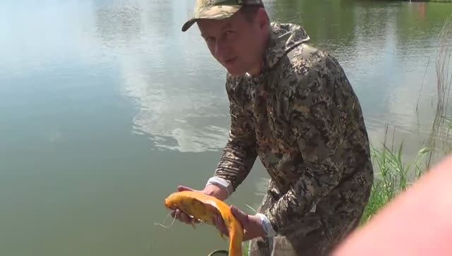 Супер Рыбалка в выходные всей семьей  Поймал карпа КОИ на Пикерную удочку