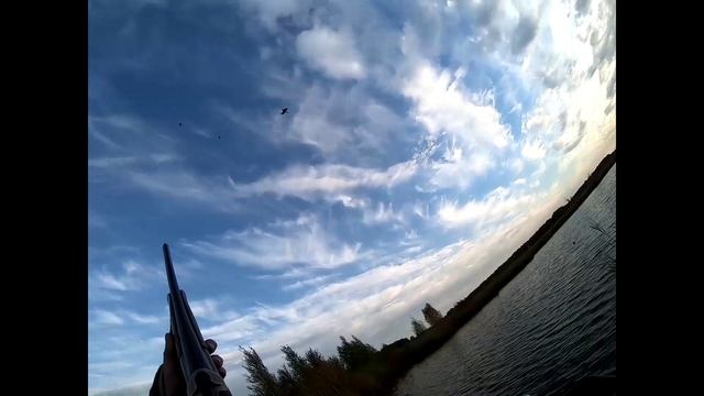 Как я провел осень