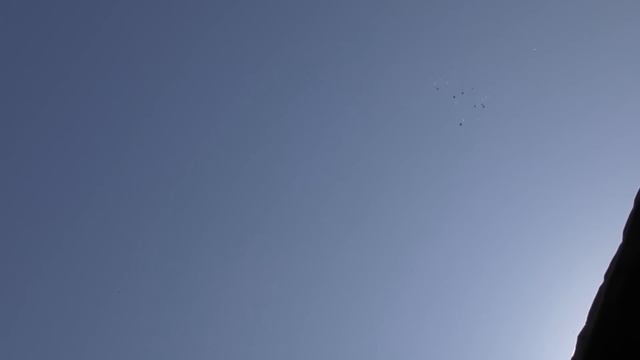 Голуби и когда накипело(Командировка 103 шт)Pigeons and when it boiled (Business trip 103 pcs)