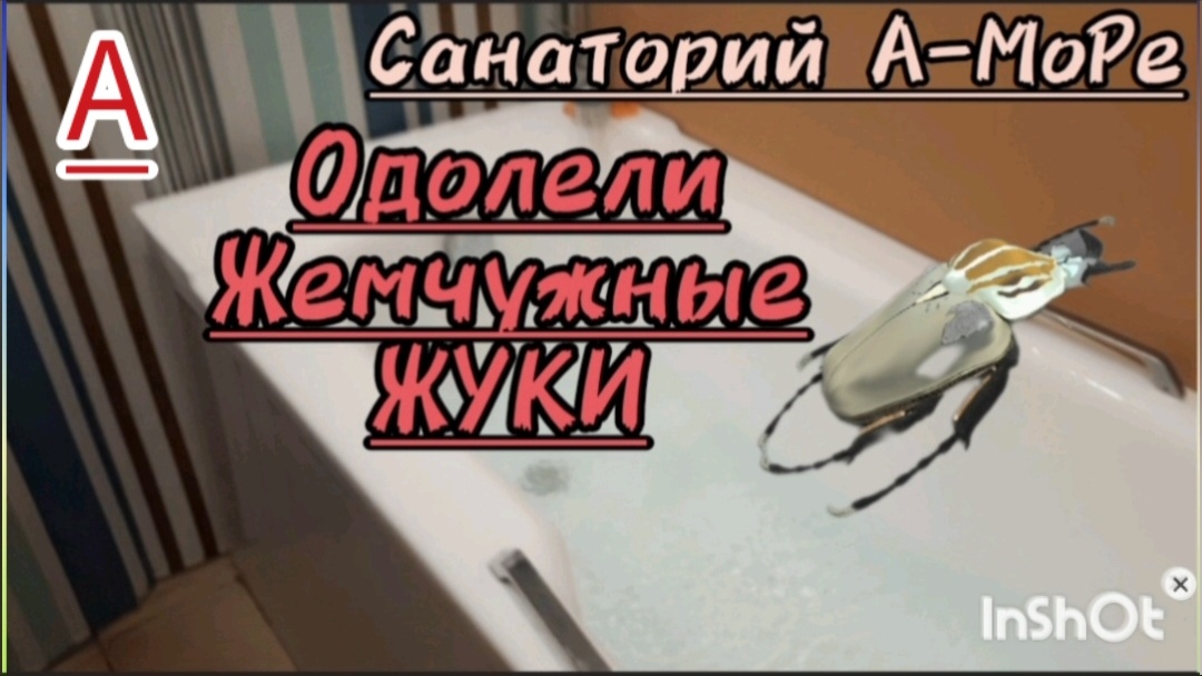 Санаторий "А-МоРе" - Краснодарский край. Для пенсионеров по социальным путёвкам. Жуки в номере.