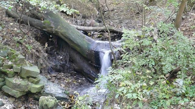 родник С.Саровского_Ростов-на-Дону