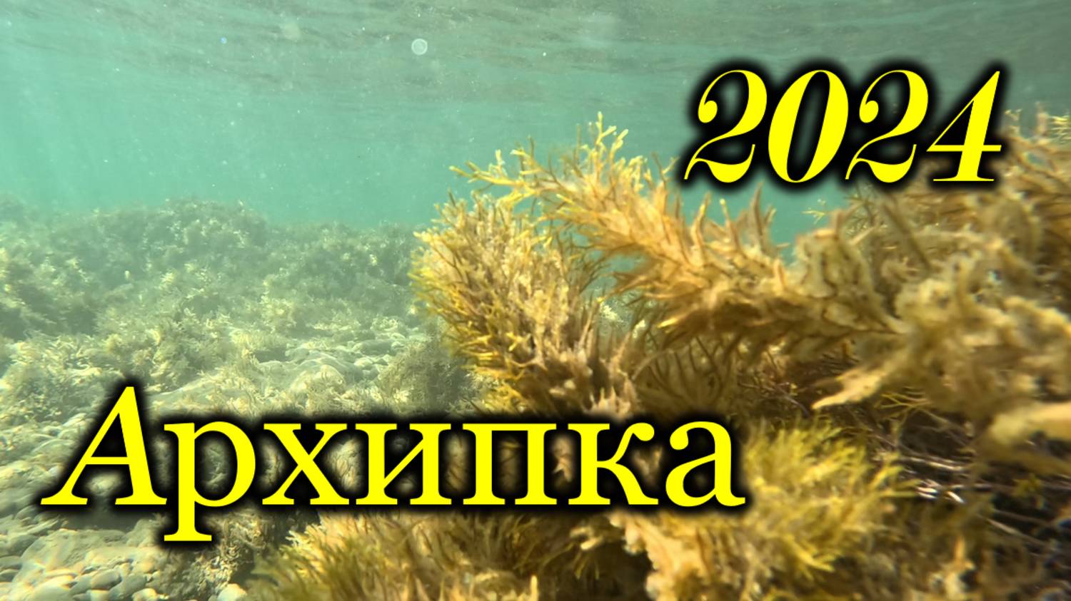 Архипка 2024
