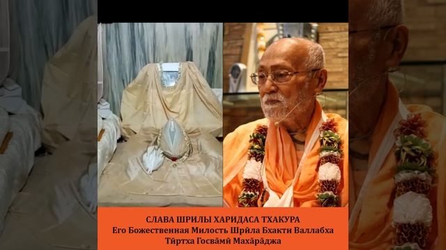 СЛАВА ШРИЛЫ ХАРИДАСА ТХАКУРА-1. Его Божественная Милость Ш. Б. Валлабха Тӣртха Госвāмӣ Махāрāджа