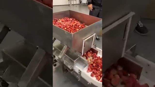 Вибробункер БР-Вибро-200 / 6281915@mail.ru / Пищевое Оборудование РФ