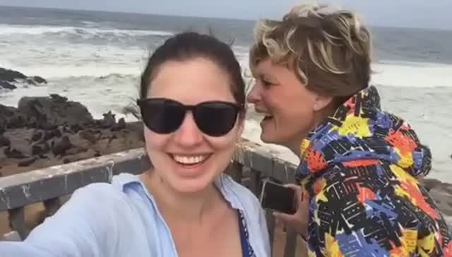 Там, где сотни тысяч морских котиков и вонь. Короткое видео из Намибии