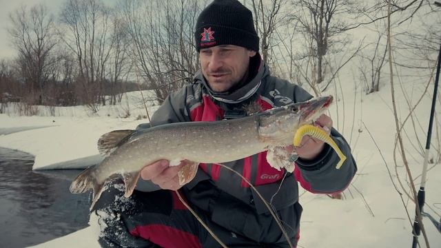 Щука пошла перед НЕРЕСТОМ!!! Ловля щуки перед нерестом на спиннинг. [Пора ловить щуку]