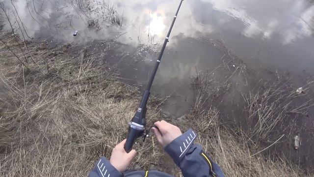 Прикормил пса и уток и первая рыбалка 2023