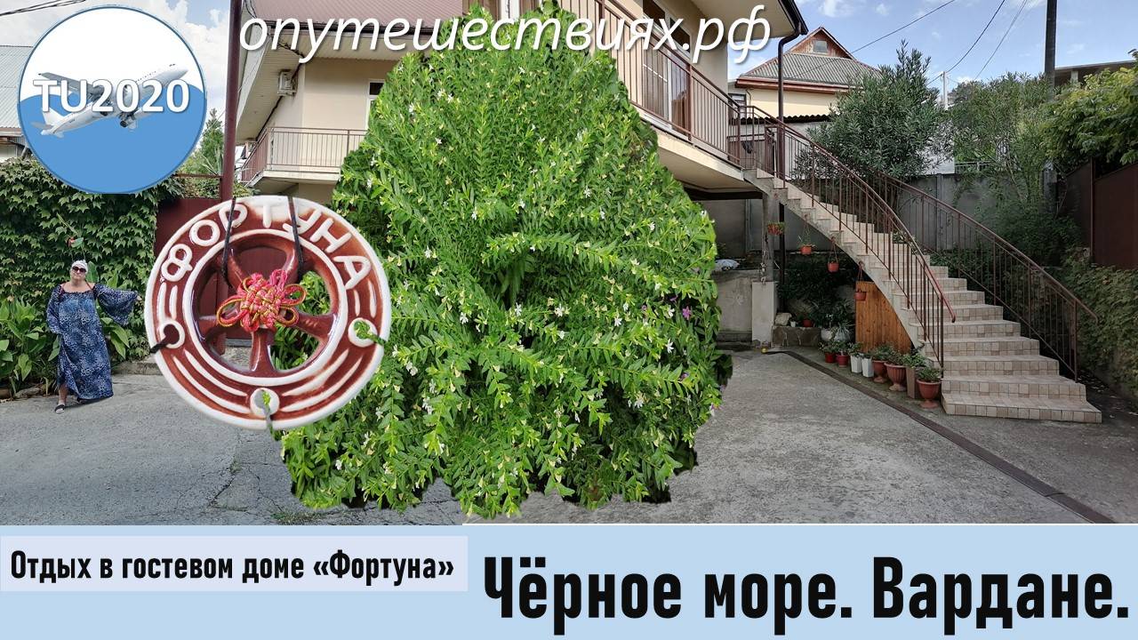 Вардане Гостевой дом "Фортуна". Черное море. Большой Сочи.