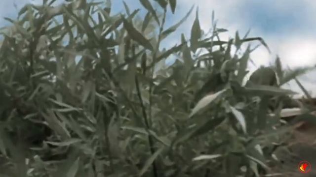 МОСТОВОЙ ГРИГОРИЙ ПОРФИРЬЕВИЧ. ГЕРОЙ СОВЕТСКОГО СОЮЗА