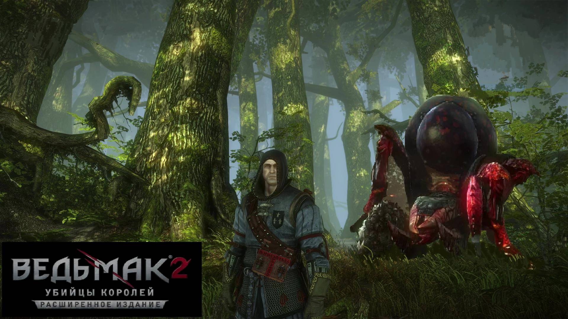 The Witcher 2. Убийцы королей. # 6. Королева Эндриаг! (Темный)#thewitcher2#ведьмак2