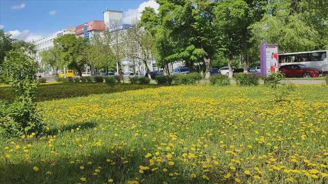 Милые солнечные лучики