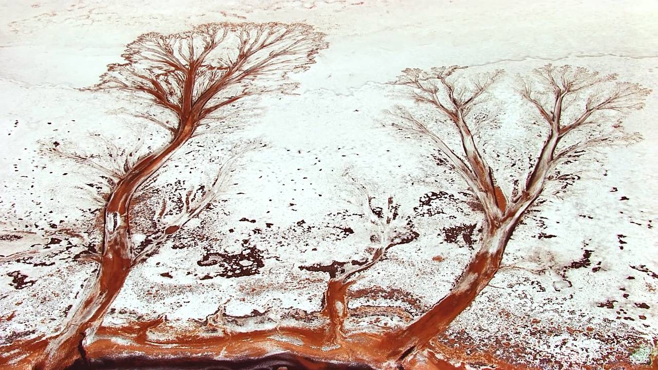 Великий художник - планета Земля