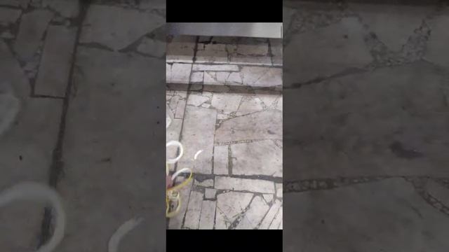 Машина для очистки лимонов ВОЭ 205А