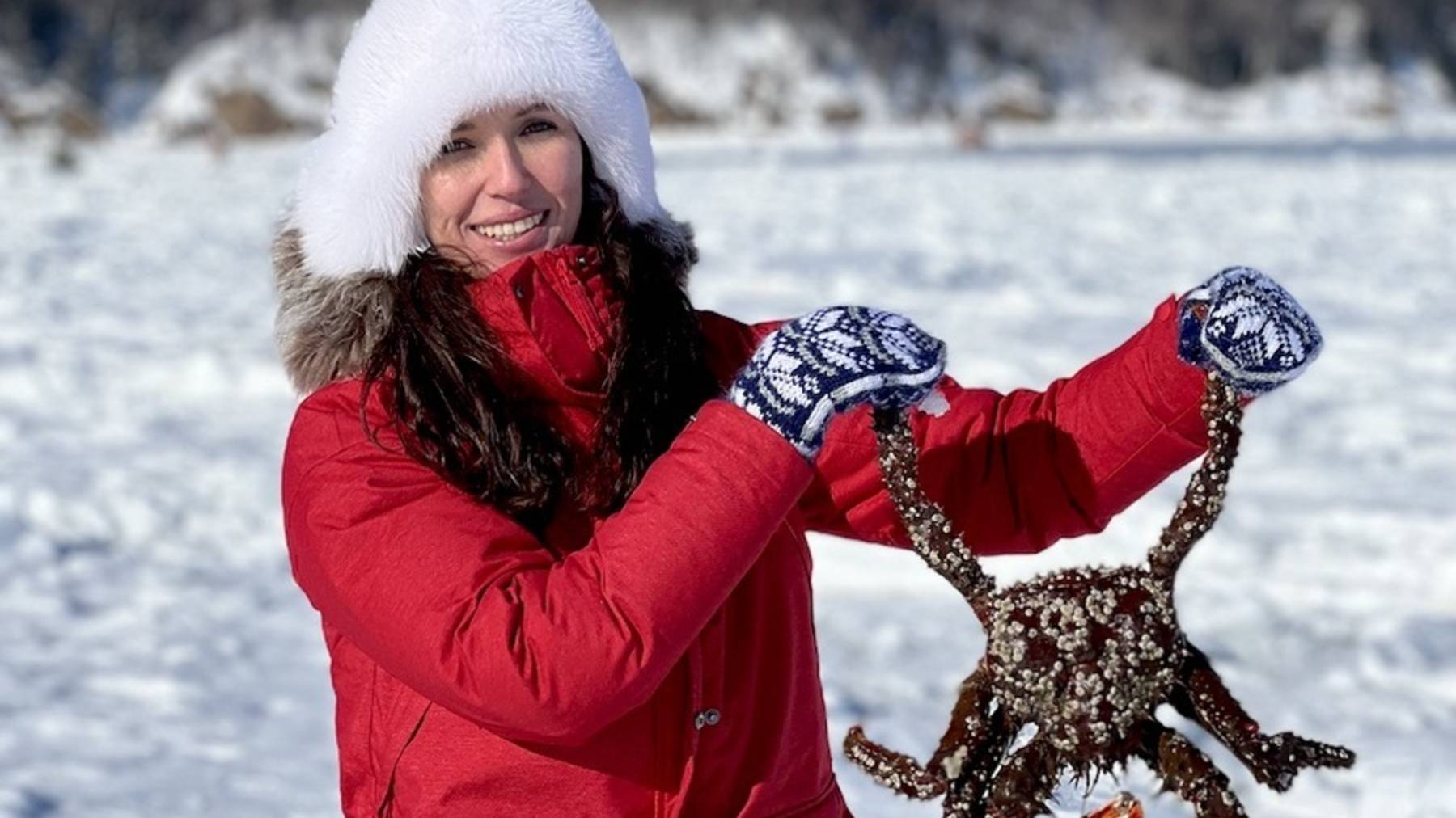 Крабалка на Сахалине