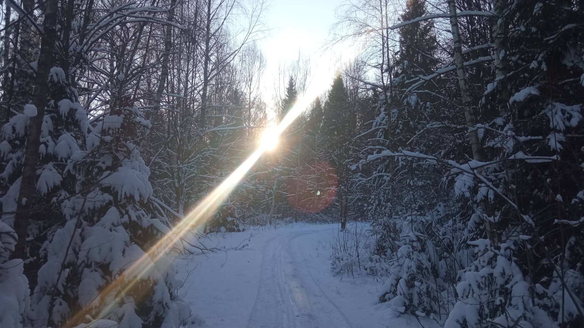 Поход в таёжную избу. Ночной лес. Декабрь 2024