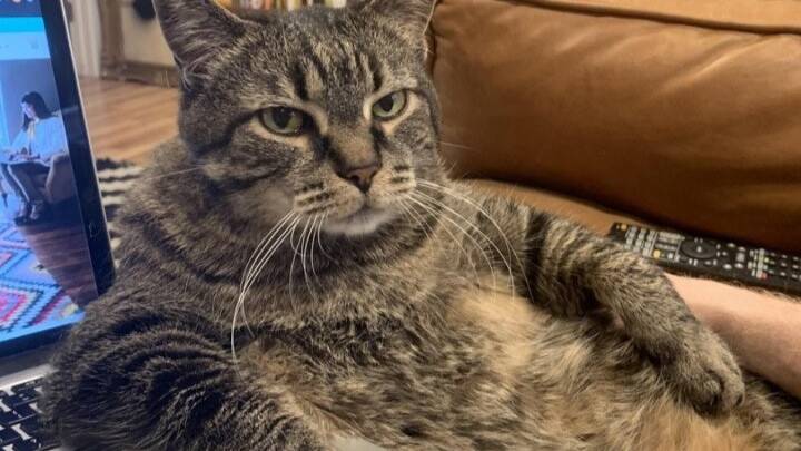 Фиксация на кроули