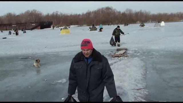 Омск.Субботник.Фион.2013г.