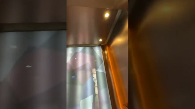 Отделка кабины. Вариант 1. Живое видео из выставочного зала на заводе.