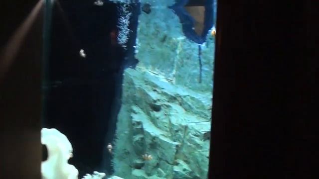 Аквариум . Винперл.Нячанг.Вьетнам