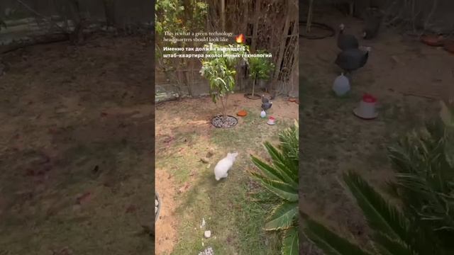 Штаб квартира экологичных технологий
Из Шарджи 1 🌎🌍🌏