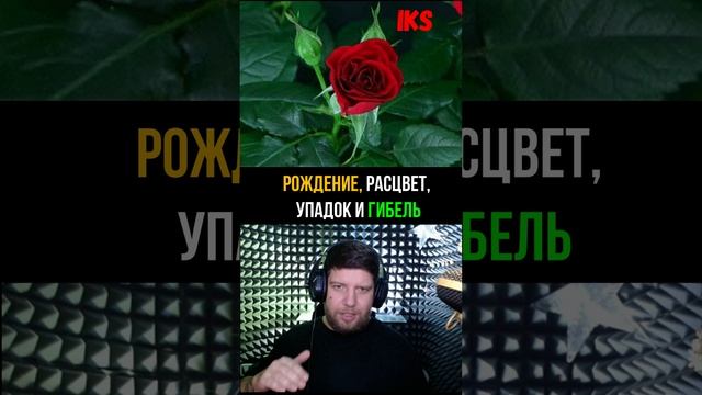 Освальд Шпенглер - человек УДИВИВШИЙ Европу  #shorts