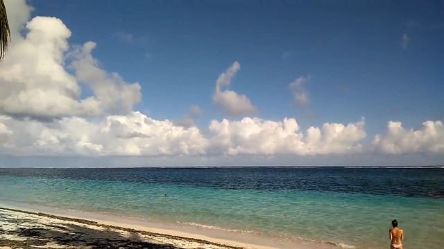 sea dance Punta Cana Be lieve collection декабрь 2016 погода сезон