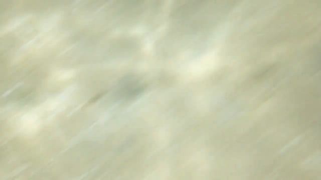 Beach Albatros Resort 4* Пляж и риф .Хургада .Египет.