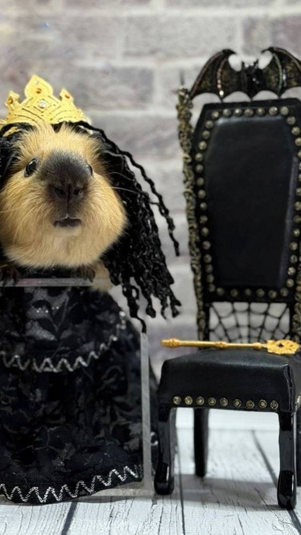 стул трон готика