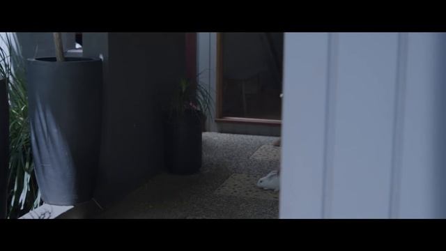 Реинкарнация. Новая глава (2023 Дублированный трейлер)