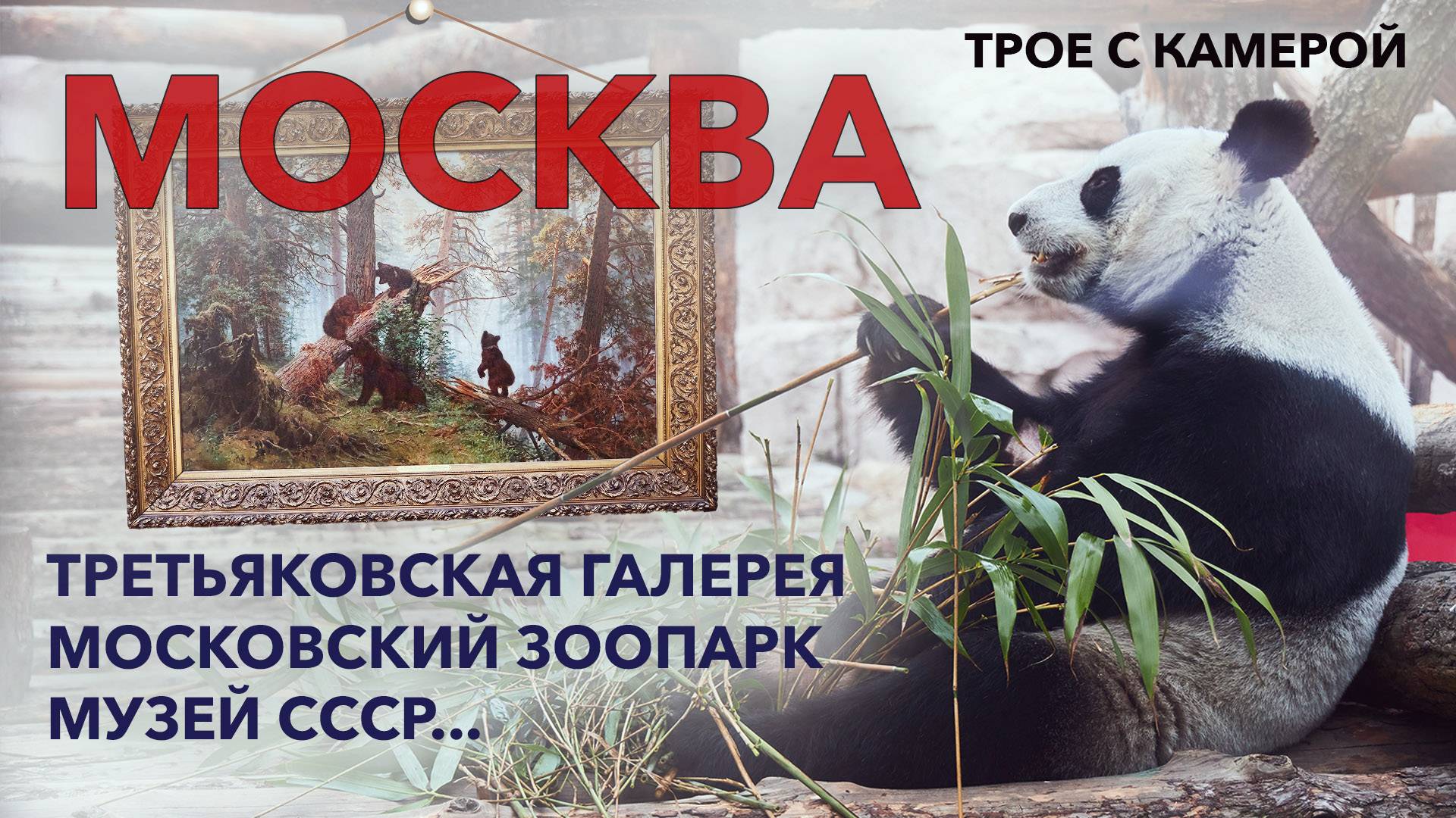 Наши приключения в Москве. Третьяковская галерея, Московский зоопарк, музей СССР. Трое с камерой.