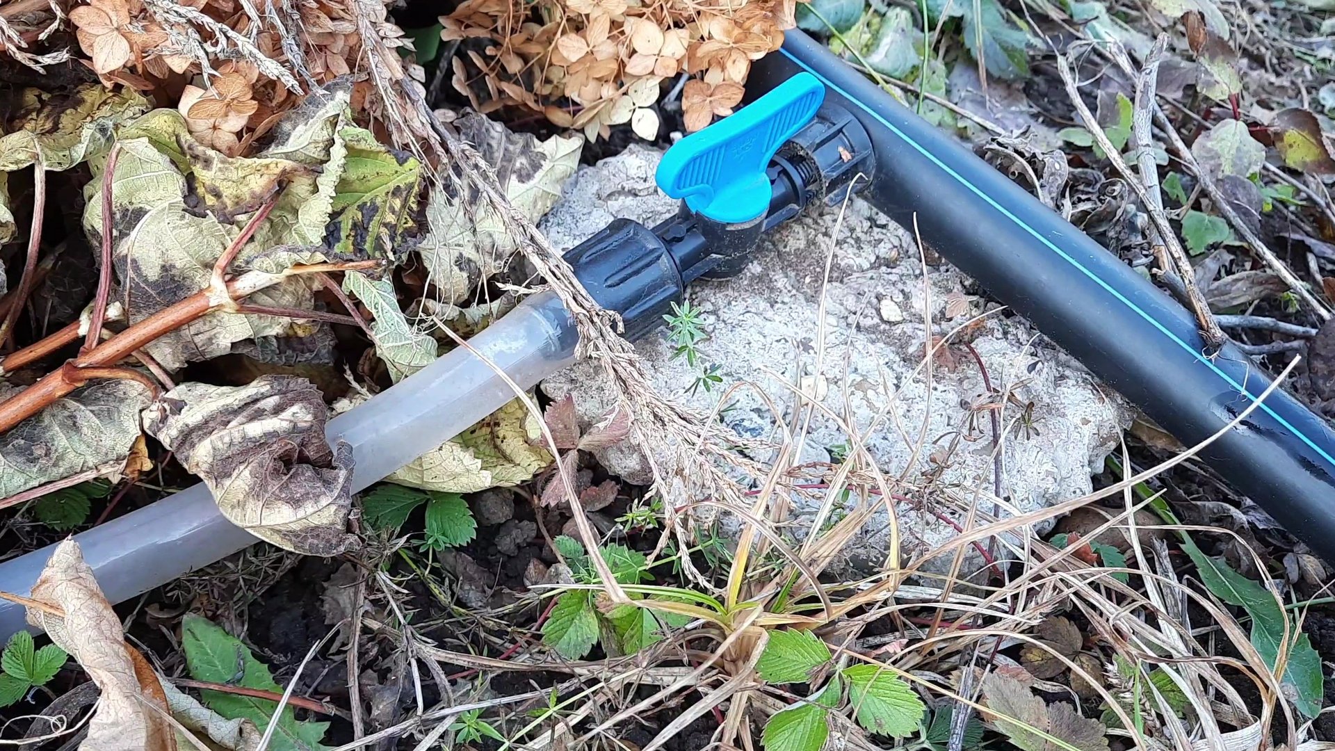 Капельный полив самотеком