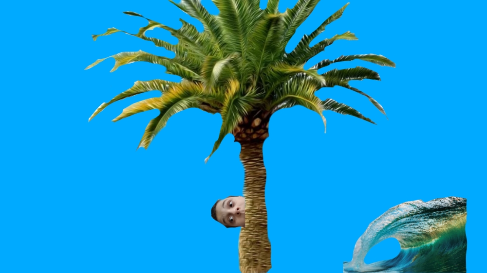 большая пляжная волна