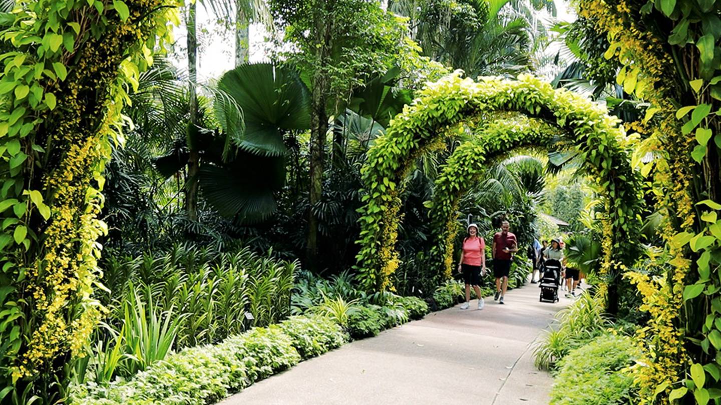 Прогулка по Саду Орхидей в Сингапуре