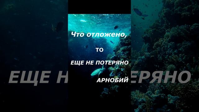Философские мысли для саморазвития