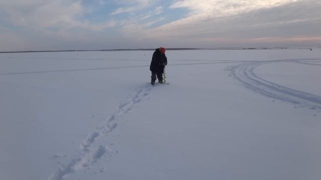 Ловля Щуки на жерлицы. Черталы.