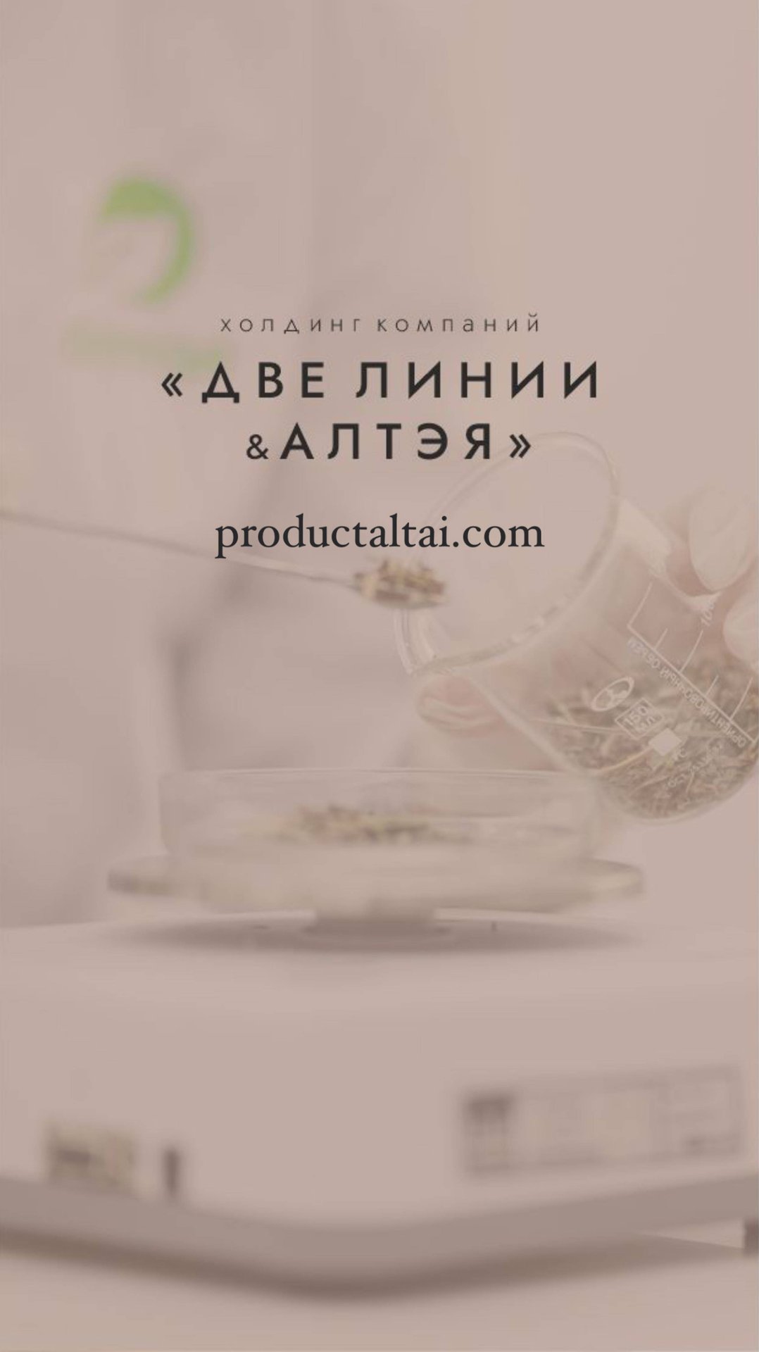 Встречаем партнеров из Ирака