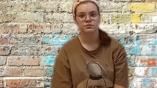 я стала бомжом в майнкфте 2 часть