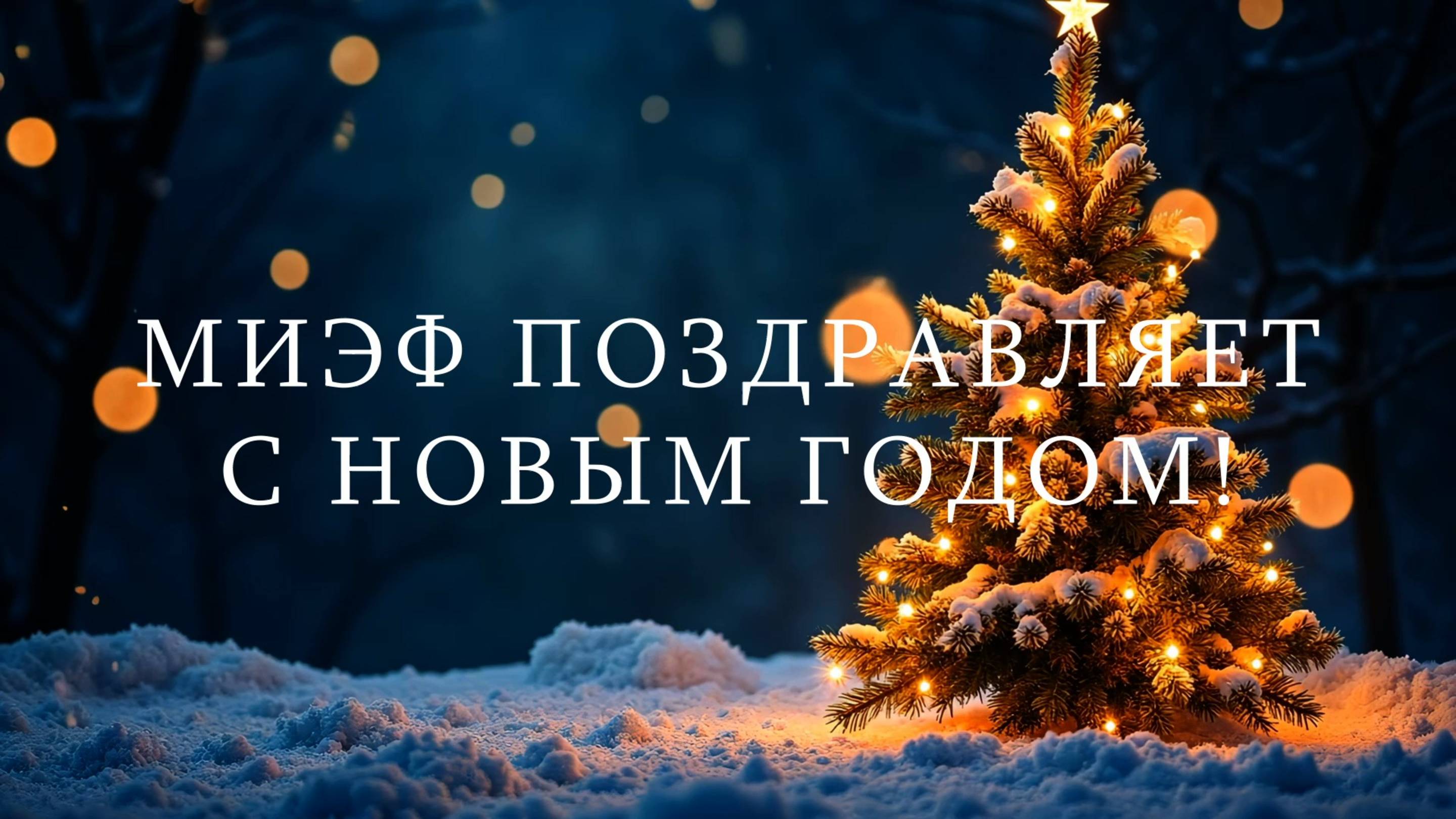 МИЭФ НИУ ВШЭ поздравляет с наступающим 2025 годом!