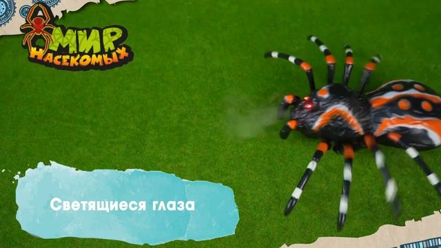 Паук на радиоуправлении