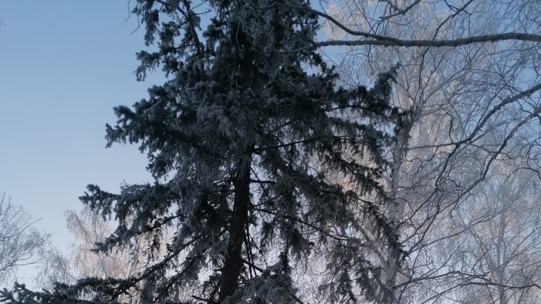 Как на тоненький ледок