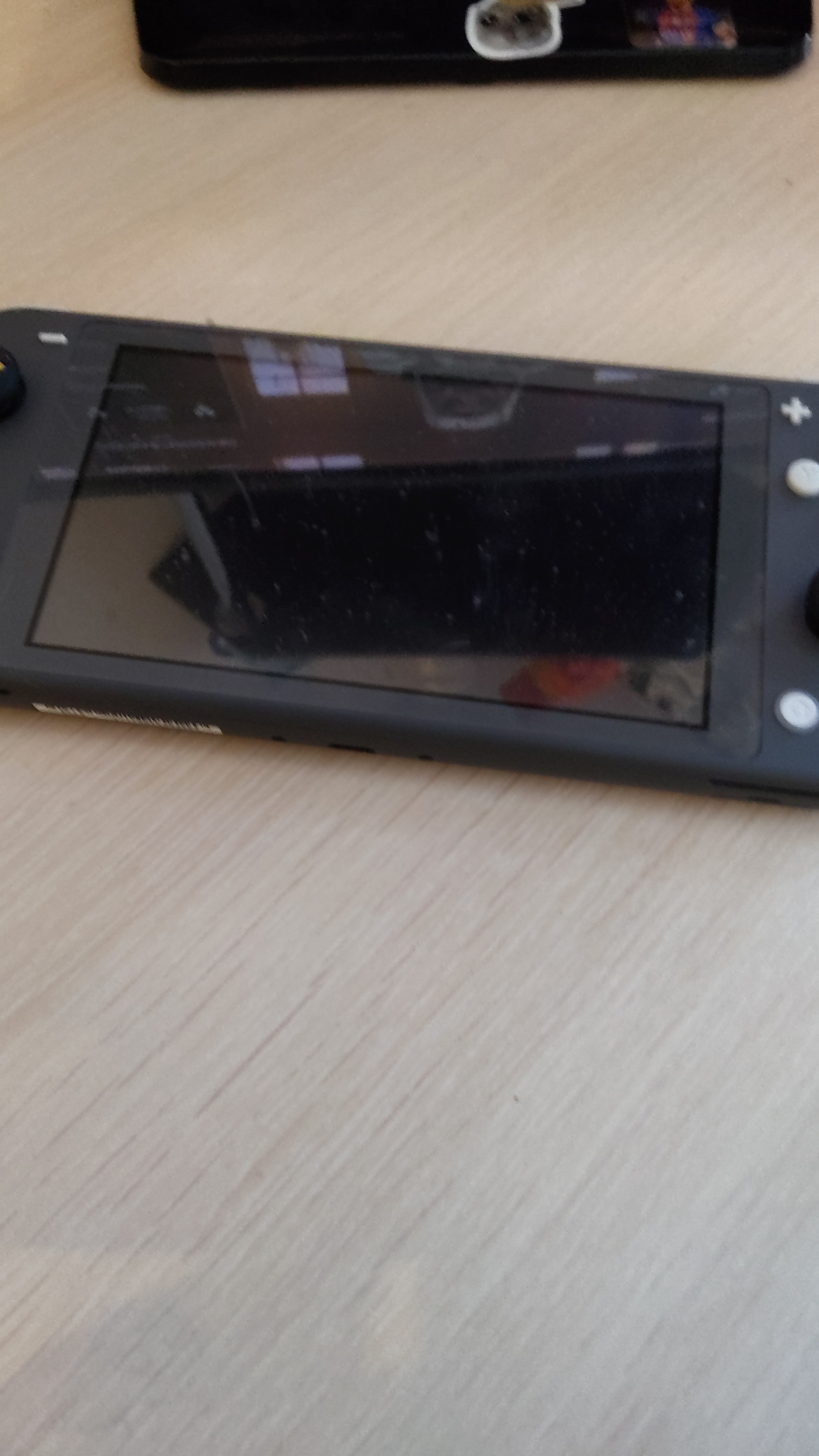 Nintendo switch lite