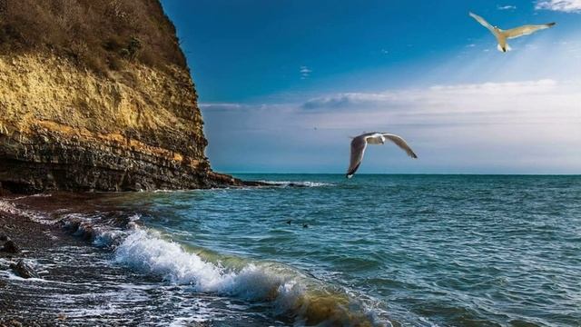 Расслабляющие Звуки Моря, Крик Чаек и Шум Волн