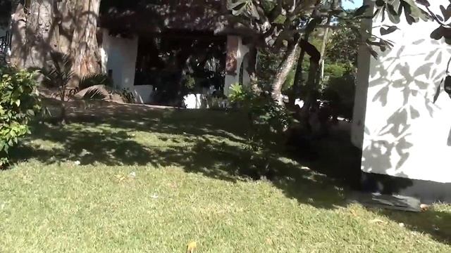 Вкус баобаба! Neptune Village Beach Resort 4*. Diani Beach.Кения