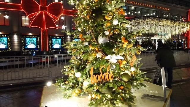 Новый 2025 год в Москве От Лубянки до Кремля 25.12.2024