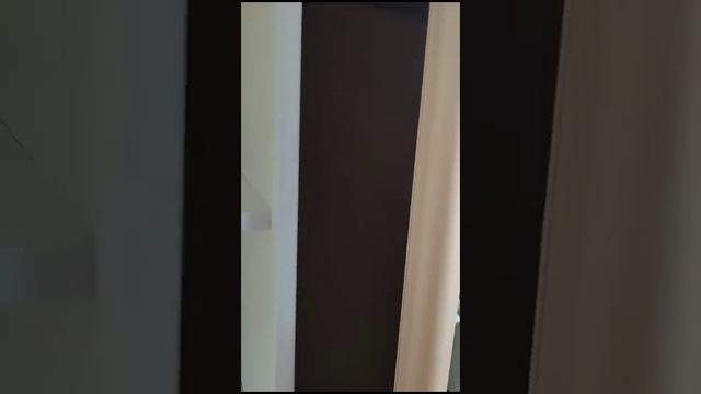 Впечатления от работы с CupeDoors: качественный сервис и профессионализм #отзыв #шкафкупе #cupedoors