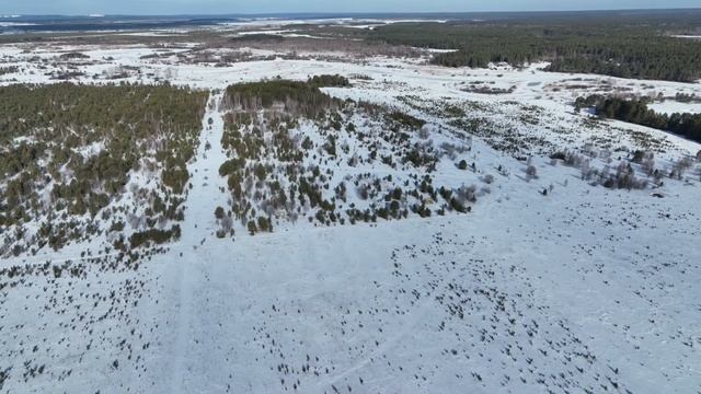 Родовое селение Жива с высоты птичьего полёта